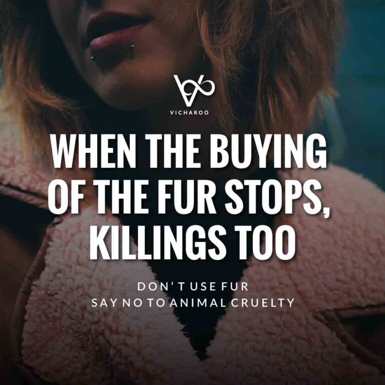 When the buying of the fur stops, killings too | Animal Cruelty ...