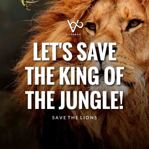 Let’s save the king of the jungle! | Save Lions | World Lion Day ...